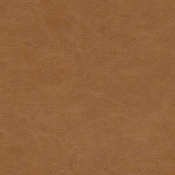 Lyon Fabrics – Goodrich Global
