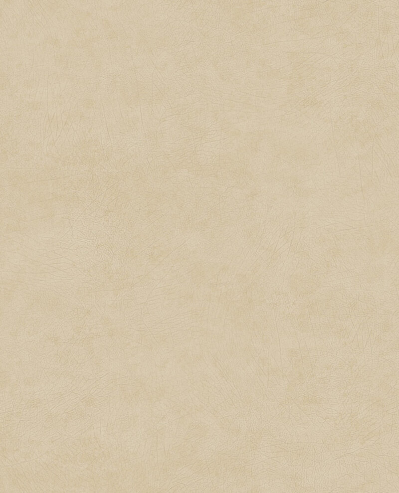 Reunited Wallpapers – Goodrich Global