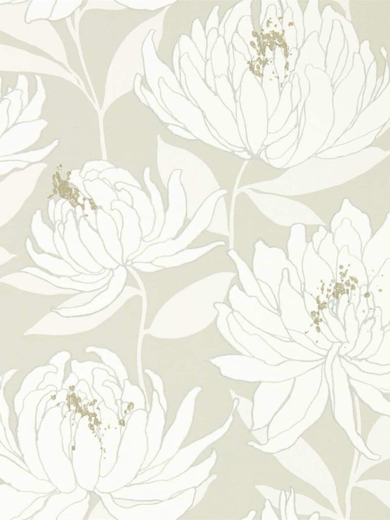 Salinas Wallpapers – Goodrich Global