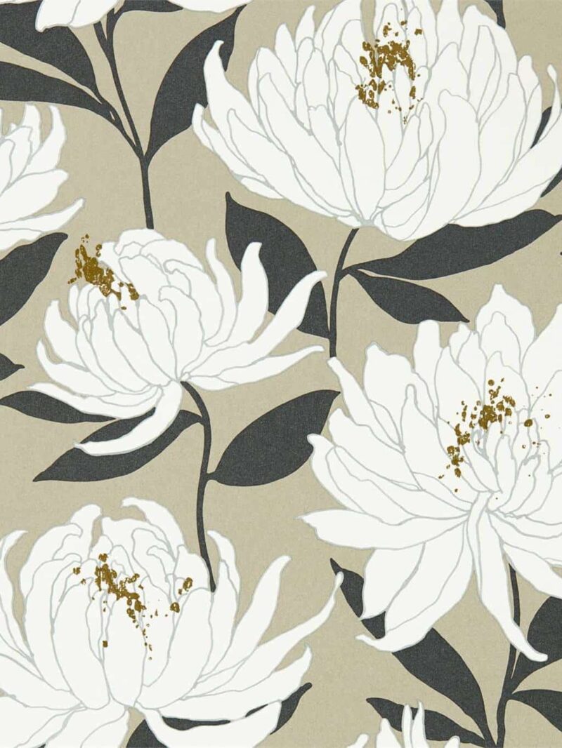 Salinas Wallpapers – Goodrich Global